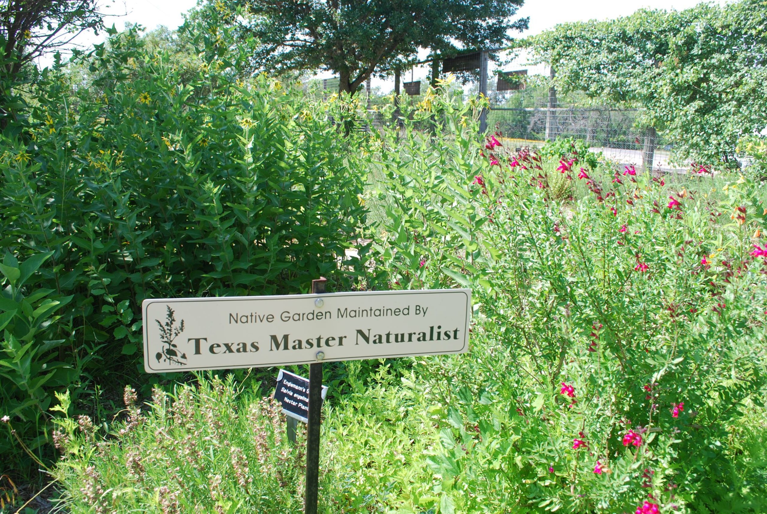 Top Kerrville TX cabin rentals